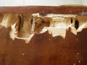 Como Fazer Massa para Tapar Buracos - Dicas - Faidiga Madeiras